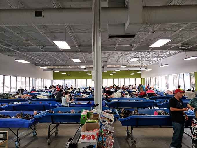 Rows of blue bins stretch endlessly, each one promising surprises for those willing to dig deep.