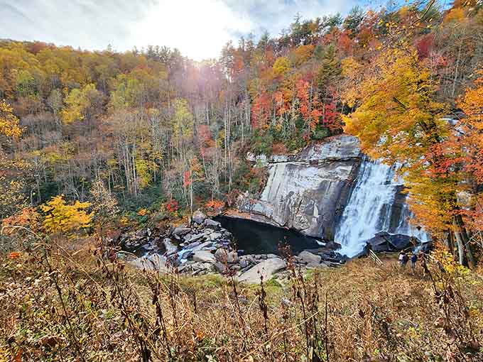 Rainbow Falls in autumn is nature showing off, and honestly, we're not complaining about the view.
