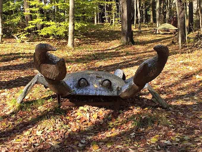 This cheerful crab looks like it's waving hello, which is considerably friendlier than most crabs you'll encounter.