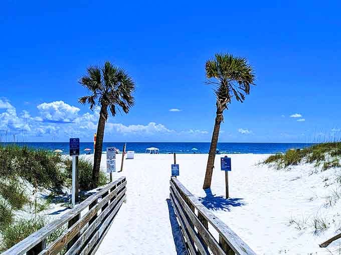 Two palm trees frame paradise perfectly, proving Alabama's coast rivals anywhere you've been dreaming about.