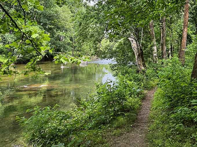 The riverside path winds through greenery so lush, even your houseplants would be jealous of this real estate.