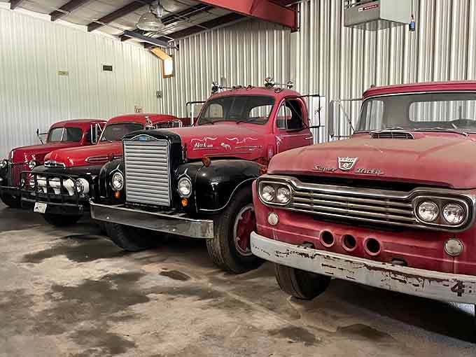 Standing among these restored beauties feels like stepping into a time machine powered by diesel fuel.