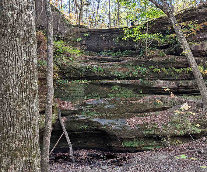 These stacked sandstone layers tell stories older than your great-great-grandparents' great-great-grandparents, and they're still holding up remarkably well.
