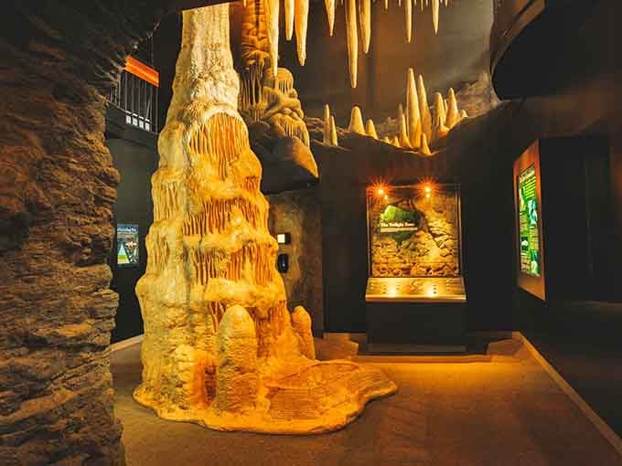 Museum displays that make stalactites look like golden sculptures, because geology deserves its moment in the spotlight.