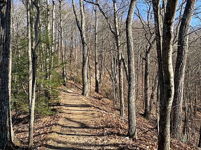 This trail through the woods is nature's way of saying "slow down and enjoy the scenery, will you?"