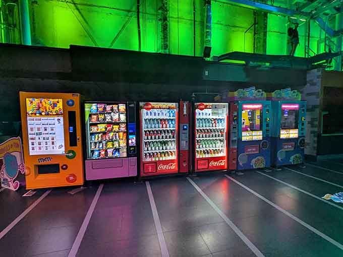 Fuel up for your aerial adventures with snacks that'll give you the energy to pretend you're still twenty-five and invincible.