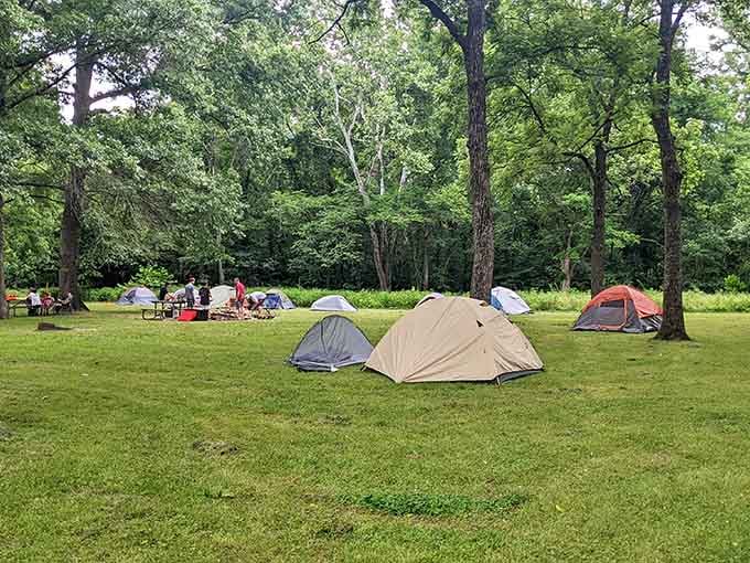 Spacious campsites nestle among the trees, offering that genuine "we're actually in the woods" experience.