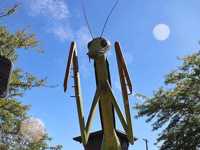 Those compound eyes have seen things, mostly confused tourists wondering if they're having a fever dream in Indiana.