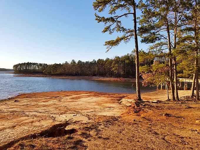 The kind of view that makes you forget you left your phone in the car, and honestly, who cares?