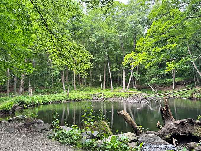 Kennedy Park's tranquil pond proves nature doesn't need a filter to look absolutely picture-perfect.