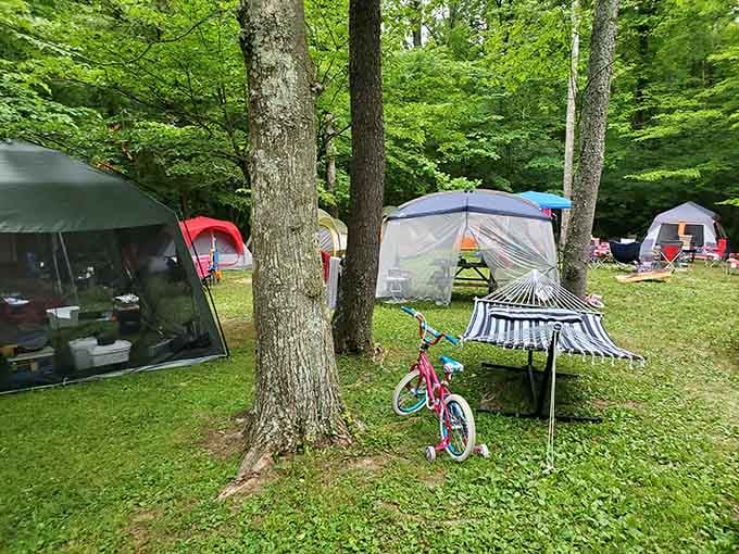 When your campsite looks this cozy, suddenly "roughing it" feels more like a backyard party with better scenery.