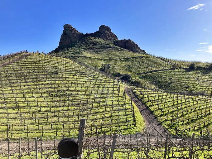 Those vineyard rows leading up to dramatic rock formations? That's your office for the day, and the view beats any cubicle.