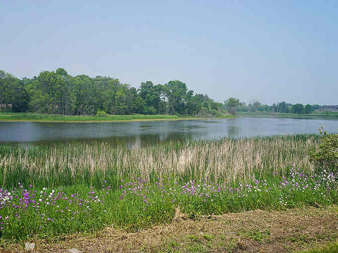 Nature preserves like this prove Wisconsin does wetlands better than just about anywhere, complete with wildflowers that actually show up on time.