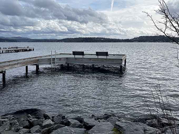 Sometimes the best view comes with a dock, a bench, and absolutely nothing demanding your immediate attention.