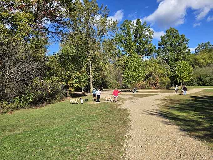 Dogs leading their humans on nature trails&mdash;proof that Medina knows what really matters in life.