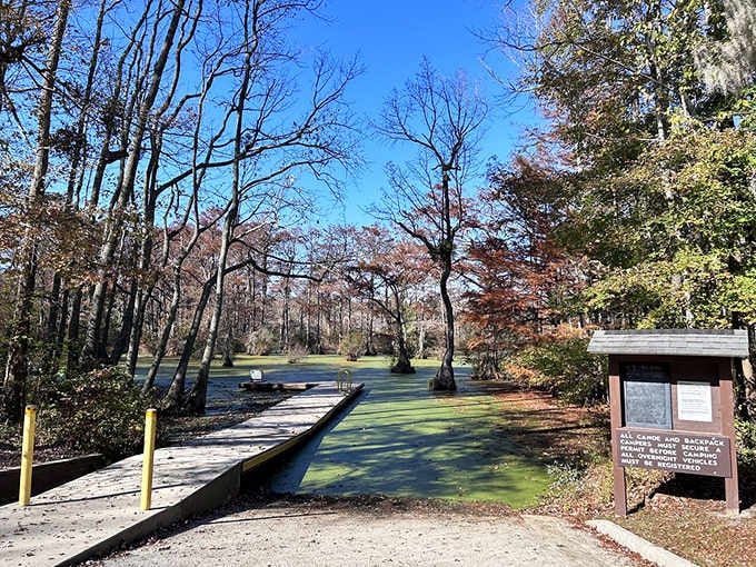 The boardwalk stretches into a world where fall colors meet still waters and time slows down considerably.