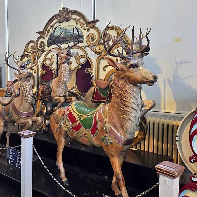 This majestic deer proves carousel carvers never met an animal they couldn't saddle up.