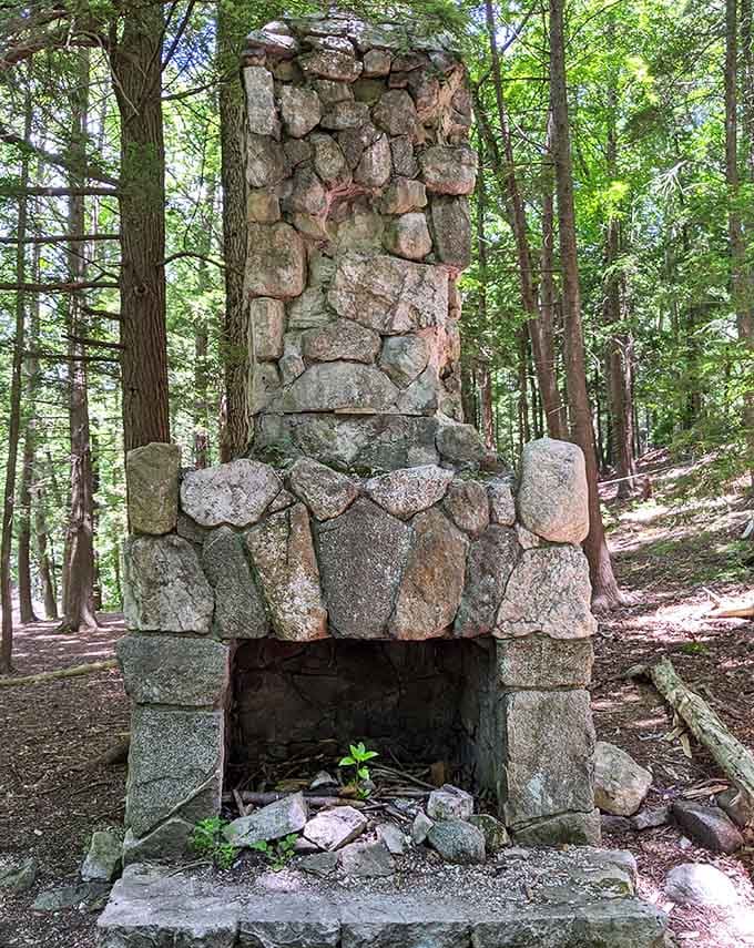 This lonely fireplace stands like a forest ghost, making you wonder about the stories it could tell if stones could talk.