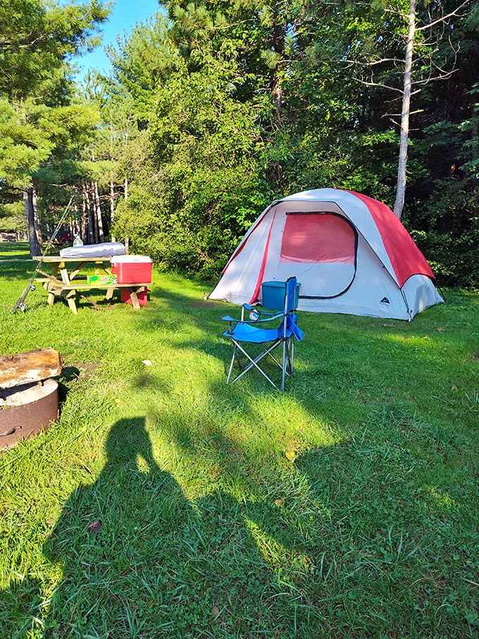 Your campsite comes with a fire ring, picnic table, and enough privacy to sing off-key without judgment.