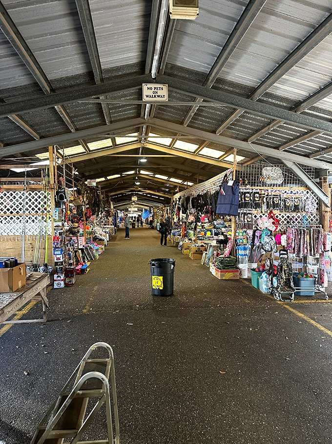 That "No Pets in Walkway" sign means business, but your treasure-hunting instincts are absolutely welcome to run wild here.