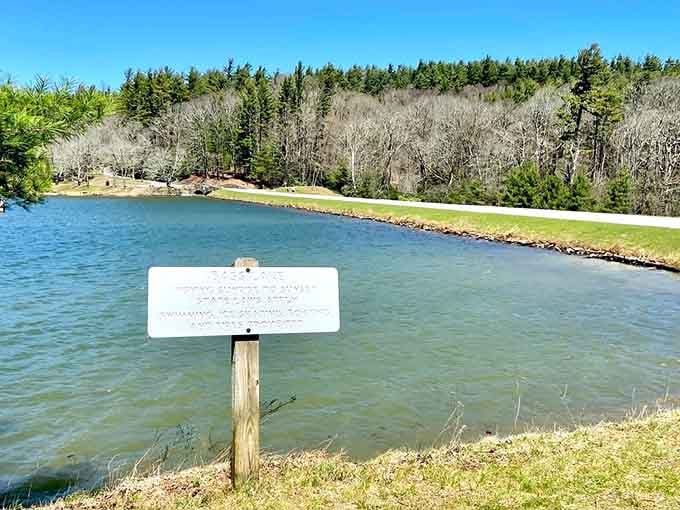 Bass Lake sits so perfectly still, even the water seems impressed with its own reflection.