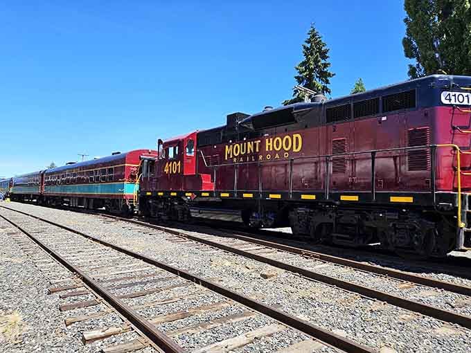 Engine 4101 stands ready like a patient friend who's been waiting to show you something spectacular all along.