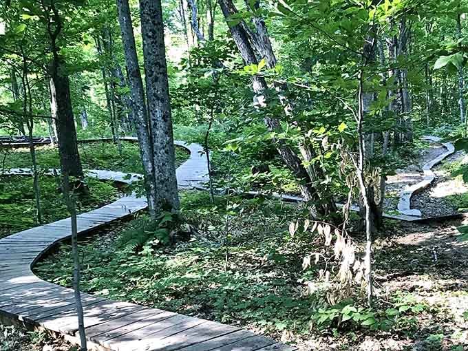 These winding boardwalks through the forest make your daily commute look like a cruel joke by comparison.