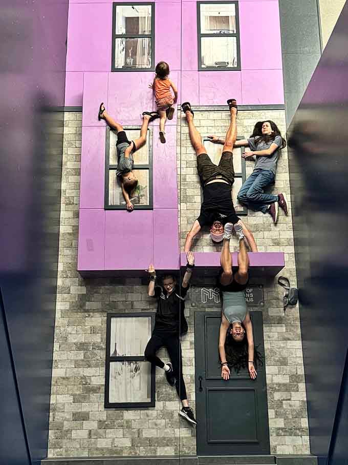 Gravity called in sick today, and these folks are living their best Spider-Man fantasies on a purple building facade.