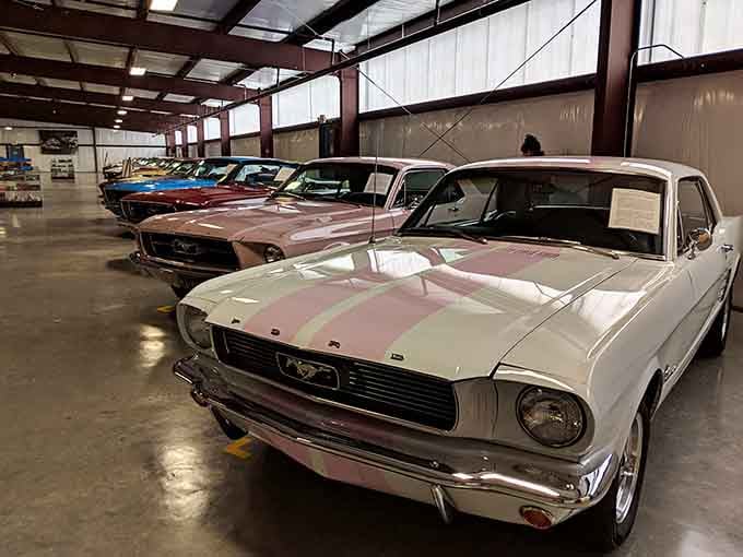 These vintage beauties look ready to cruise straight out of "American Graffiti" and into your heart.