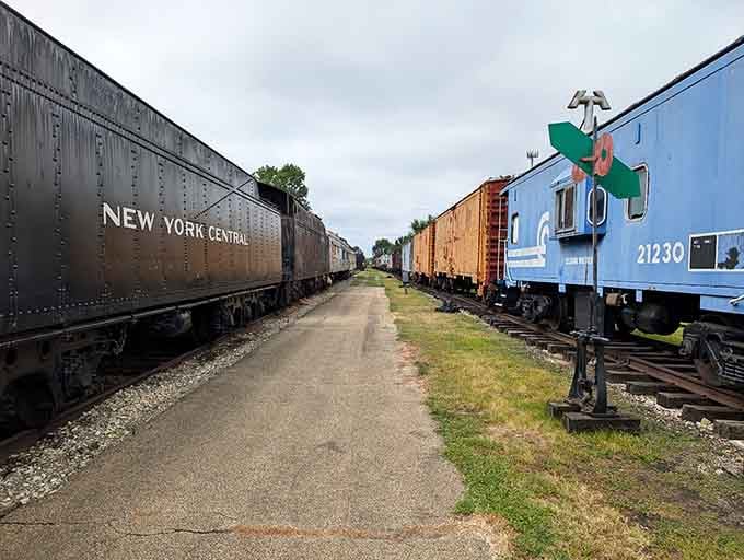 Walking between these giants feels like being in a Spielberg film, minus the dinosaurs but equally impressive.