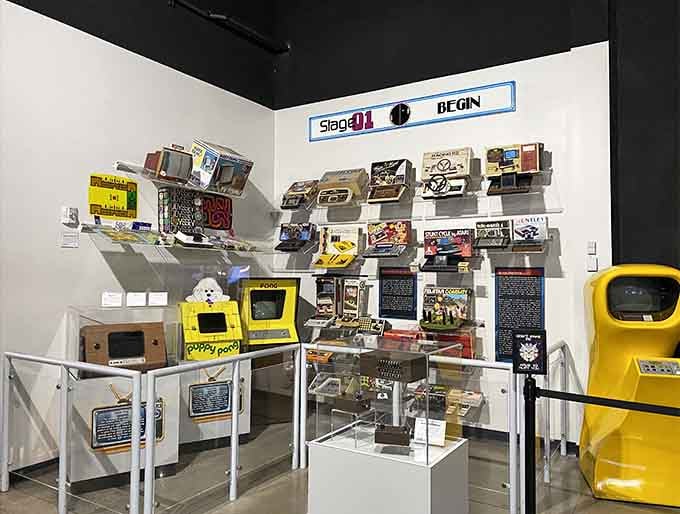 Behold the wall of gaming glory, where forgotten consoles gather like high school reunion attendees comparing their glory days.