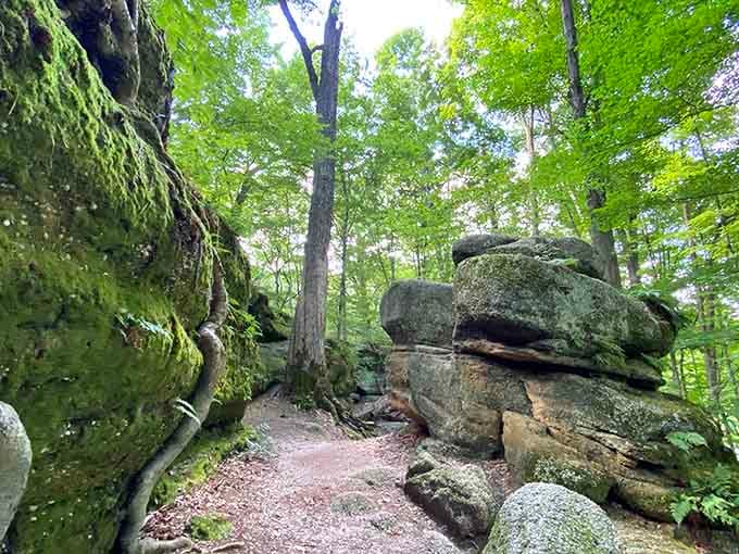 Towering ledges and winding paths make you feel like you've stepped into a Tolkien novel.