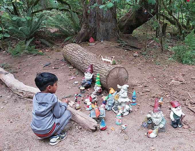 When a young explorer discovers dozens of gnomes gathered for what appears to be the world's tiniest convention.