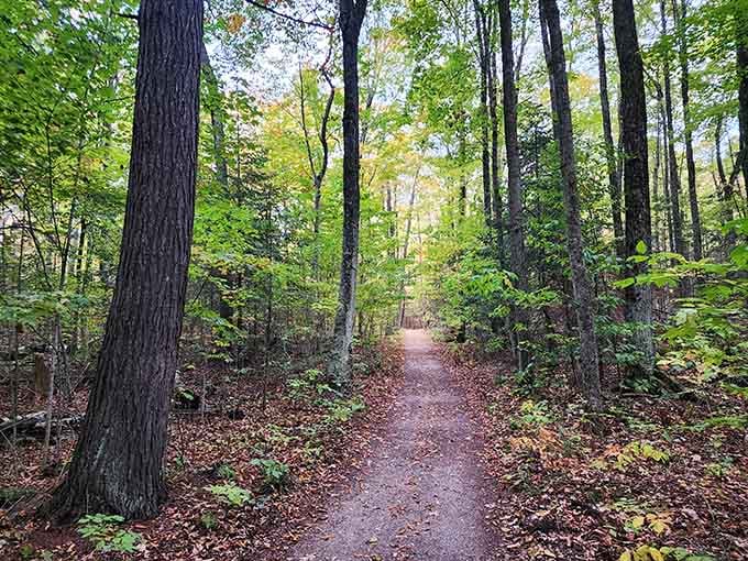 These woodland trails wind through forests so peaceful you'll forget what traffic sounds like.