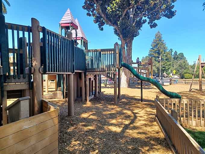 Where kids still play outside instead of staring at screens, imagine that revolutionary concept.