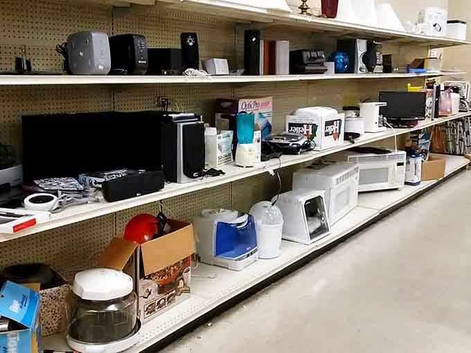 Small appliances line up like eager contestants on a game show, each hoping you'll take them home.