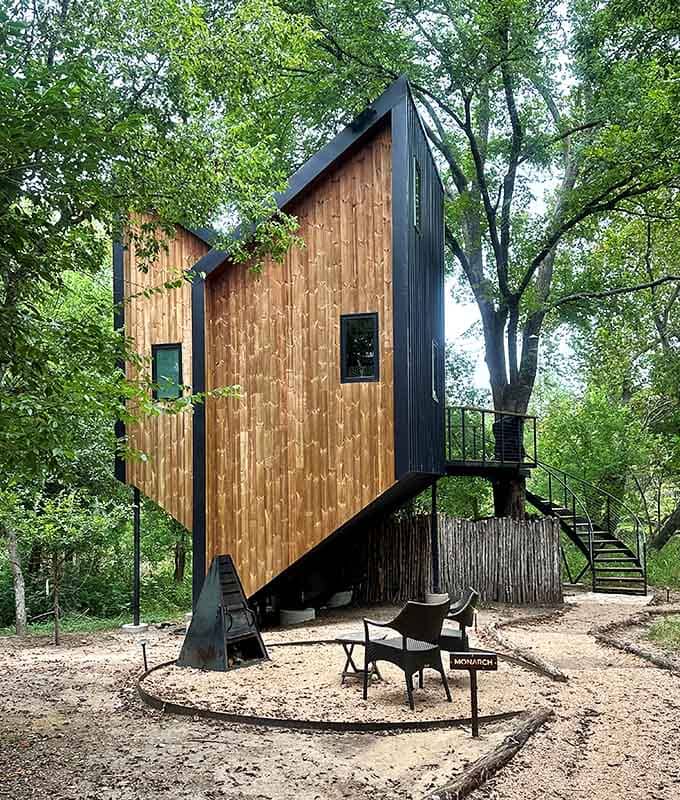 Modern architecture meets Mother Nature, and somehow they both agreed to play nice for once.