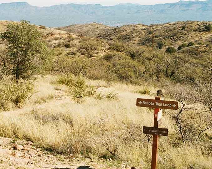 When trail signs look this inviting, you know you're about to discover something the crowds are missing.