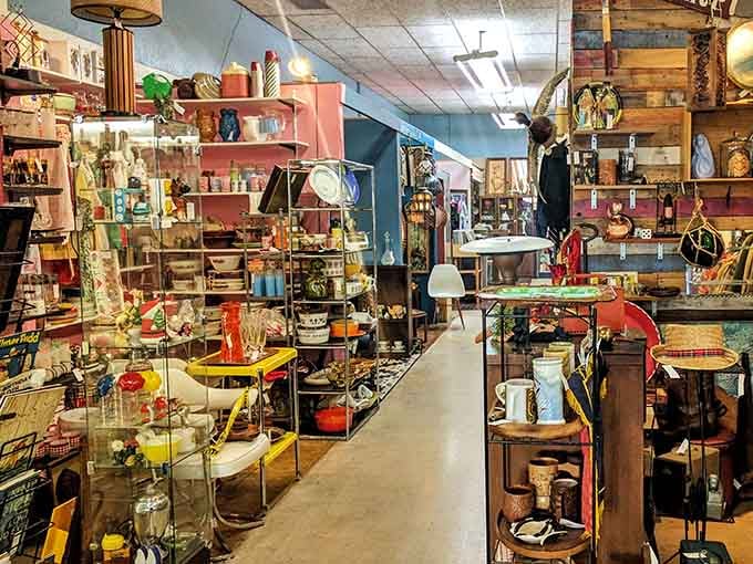 Welcome to organized chaos at its finest, where every aisle promises something you didn't know you needed until right this very moment.