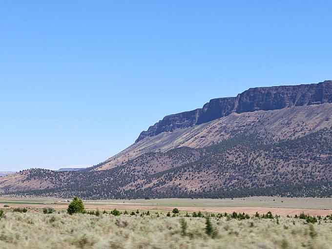 Juniper-dotted hillsides roll like waves frozen in time, proving Oregon's got range beyond the rain-soaked reputation.