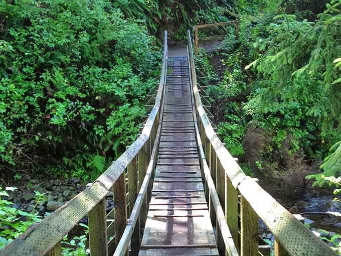 This charming footbridge over Necarney Creek is your portal from ordinary forest walk to coastal wonderland.