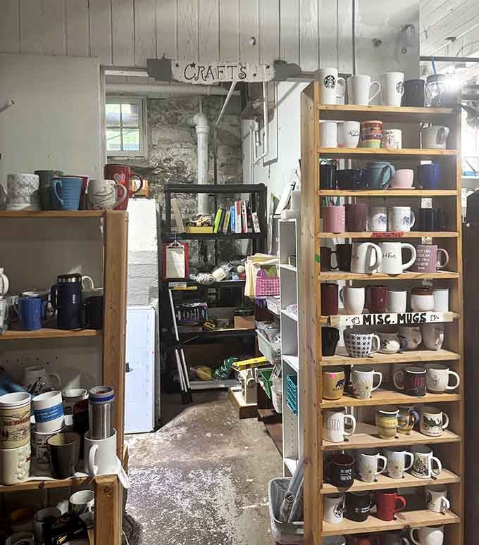 The mug collection alone could caffeinate a small army, each one waiting to become your new favorite.