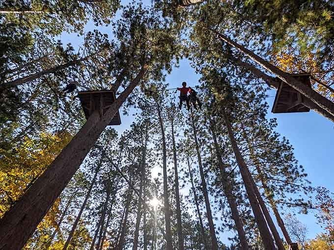 Looking up through towering pines as someone zips overhead, you realize this beats any gym membership hands down.