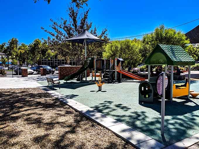 City Park proves that the best playground equipment is still a shady tree and absolutely nowhere to be.