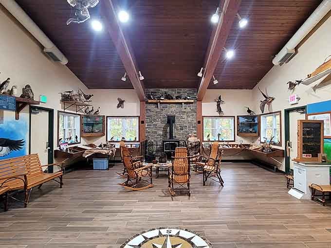 Inside, rustic charm meets natural history in a space that feels like your favorite teacher's classroom, all grown up.