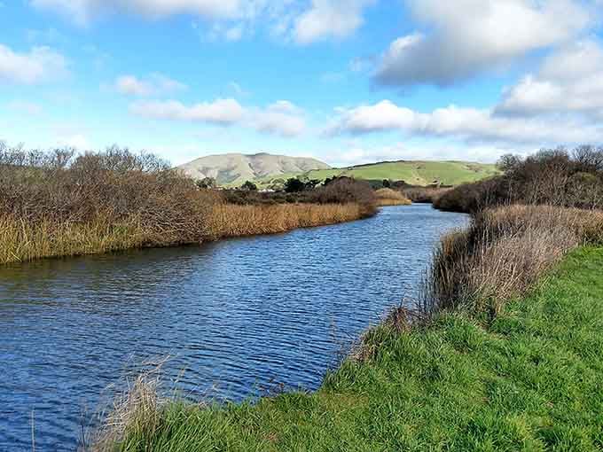 Where peaceful waterways wind through landscapes so green, they make Ireland look beige by comparison.