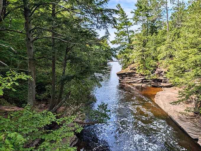 Lake Superior's shoreline meets ancient forest, creating views that make your camera work overtime with joy.