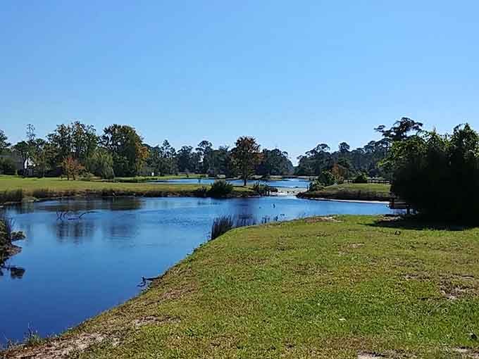 Forest Park offers green space where you can actually hear yourself think, revolutionary concept in Florida.