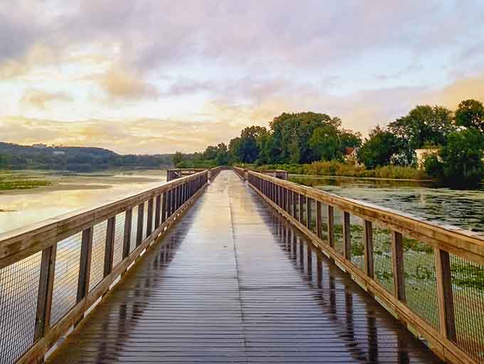 This boardwalk leads somewhere magical, or at least somewhere you won't regret walking to with a camera.