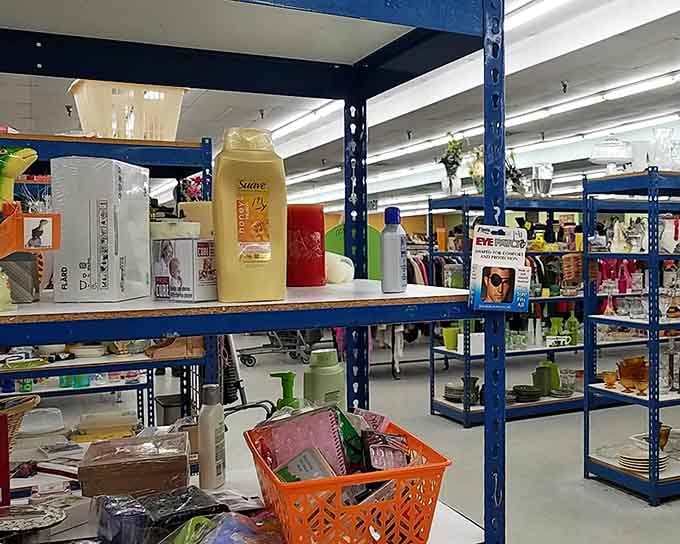 Blue industrial shelving transforms everyday housewares into an organized treasure map waiting to be explored by savvy shoppers.
